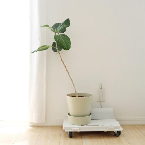 写真 (9枚目) - コロコロ浮かせて動線スムーズ♡SNSで人気「台車・キャスター」活用アイデア14連発 - LOCARI（ロカリ）