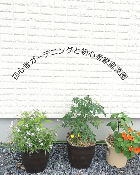 写真 (17枚目) - GW予定がない人集まれ〜！空いた時間にやりたい18のこと - LOCARI（ロカリ）