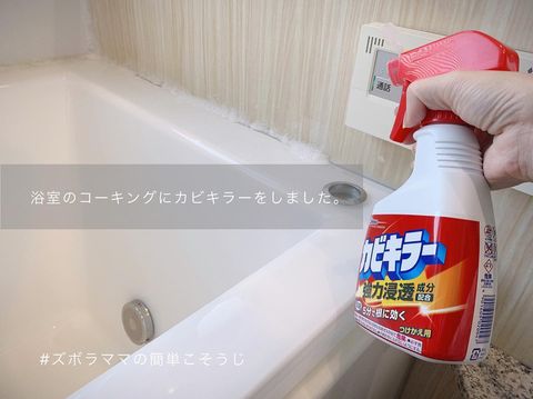 写真 (7枚目) - これだけあればOK！大掃除に欲しい無敵洗剤・洗浄剤12連発 - LOCARI（ロカリ）