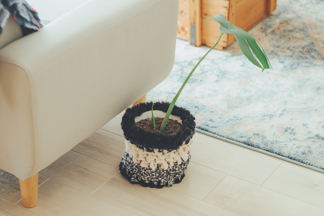 写真 (4枚目) - [一人暮らし]キッチンや和室をオシャレに活用。憧れの2DKのインテリア3選 - - LOCARI（ロカリ）