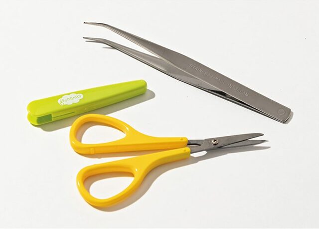 写真 (25枚目) - - LOCARI（ロカリ）