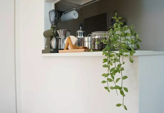 写真 (5枚目) - たくさんの植物とナチュラルな家具でまとめる。二人暮らしの2LDKインテリア - LOCARI（ロカリ）