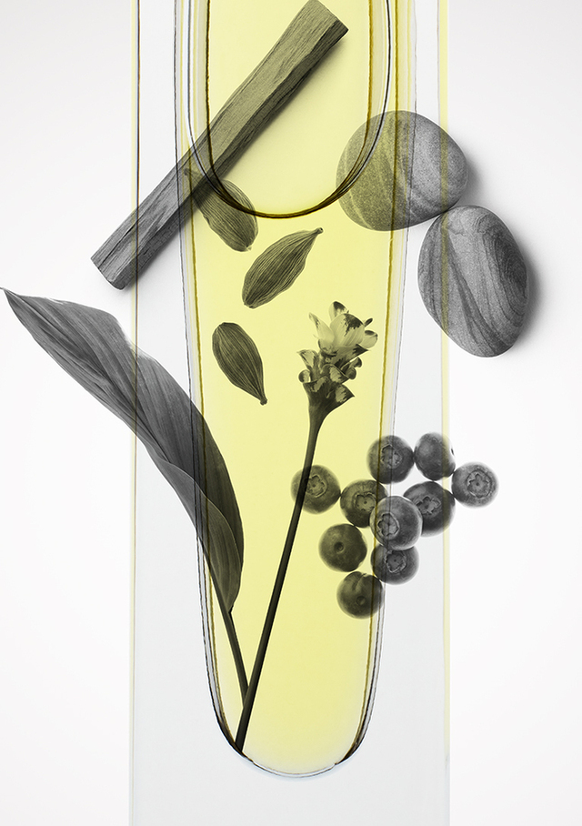 写真 (5枚目) - 《THREE》から初のフレグランス「THREE - LOCARI（ロカリ）