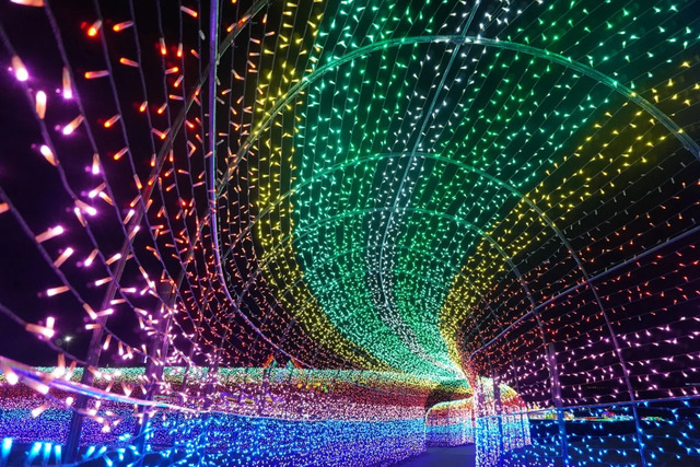 写真 (9枚目) - [千葉]クリスマスデートならココ！おすすめスポット6選[2023] - LOCARI（ロカリ）