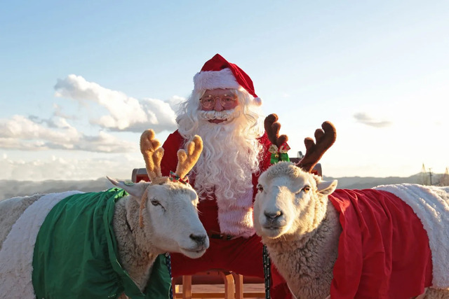 写真 (10枚目) - [千葉]クリスマスデートならココ！おすすめスポット6選[2023] - - LOCARI（ロカリ）