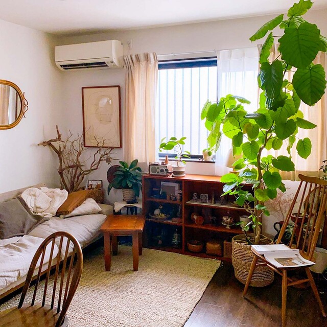 写真 (8枚目) - ヴィンテージのアイテムが美しく並ぶ棚に囲まれて。心地よく暮らす2LDKインテリア - LOCARI（ロカリ）