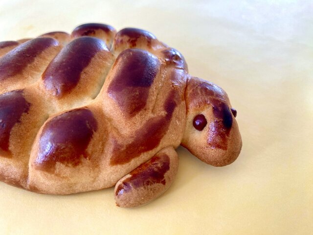 写真 (5枚目) - - LOCARI（ロカリ）