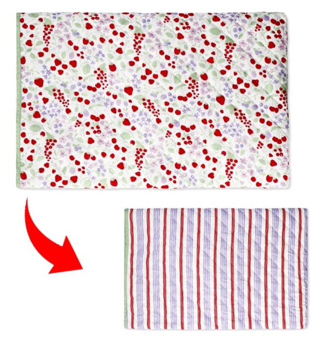 写真 (13枚目) - フライングタイガーでいちご狩り！2024お花見ピクニックマストアイテムはこれ！ - LOCARI（ロカリ）