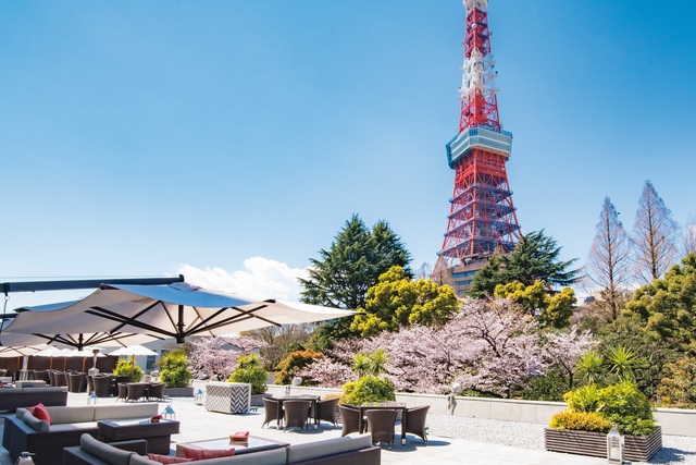 写真 (1枚目) - こんなお花見がしたかった♡"桜×東京タワー"の豪華絢爛「桜まつり」2024 - LOCARI（ロカリ）