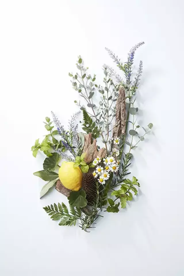 写真 (2枚目) - ＆beのヘアケアブランド「&be - LOCARI（ロカリ）