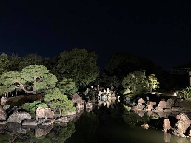 写真 (5枚目) - 秋色に染まる二条城「FLOWERS BY NAKED 2018」開催！ - - LOCARI（ロカリ）