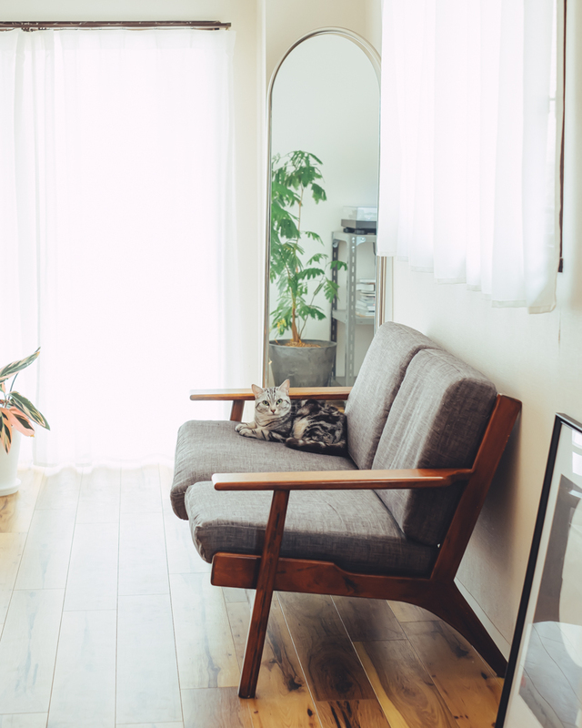 写真 (5枚目) - [1LDK・44㎡二人暮らしのインテリア]色と余白を大切に、愛猫に合わせたグレーのリビング - LOCARI（ロカリ）