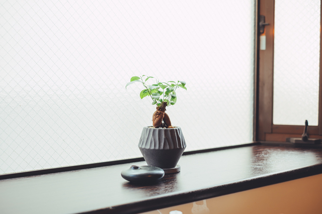 写真 (17枚目) - - LOCARI（ロカリ）