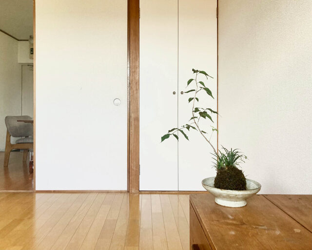 写真 (14枚目) - あえて選んだ「狭い家」。家族で暮らす、42㎡の2DKインテリア [私らしく暮らす] - LOCARI（ロカリ）