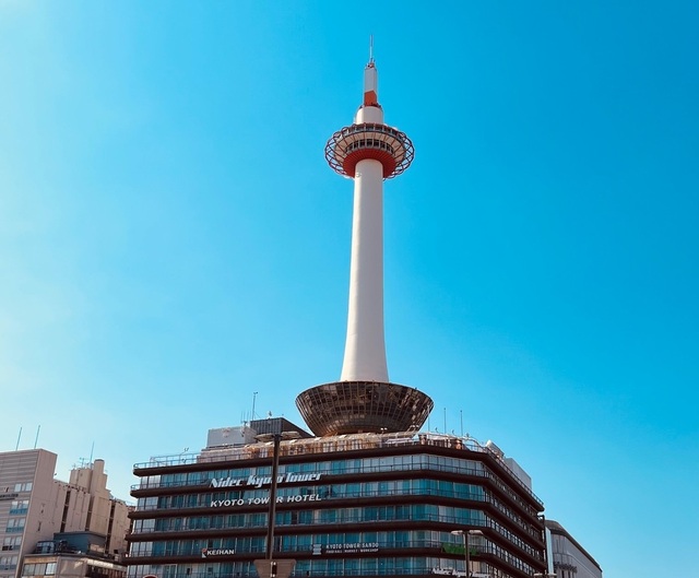 写真 (18枚目) - [おとなのソロ部]読まずにはいられない！「BOOK HOTEL - LOCARI（ロカリ）