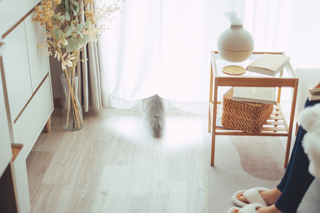 写真 (21枚目) - - LOCARI（ロカリ）