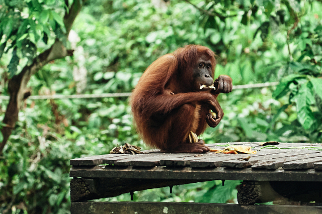 写真 (11枚目) - アクセス良好だから大人旅にも♡癒しと非日常を満喫できる4大スポット - - LOCARI（ロカリ）