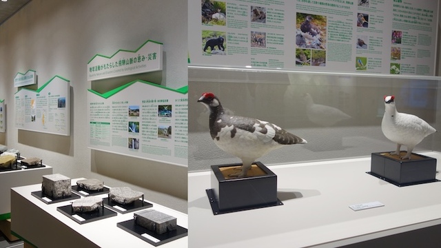 写真 (20枚目) - ＜1万円以内＞絶景＆グルメ＆アクティビティを大満喫！国内の穴場旅行スポット - LOCARI（ロカリ）