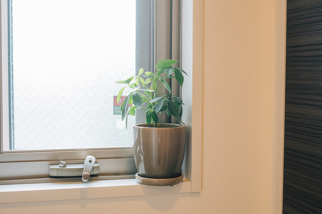 写真 (16枚目) - - LOCARI（ロカリ）