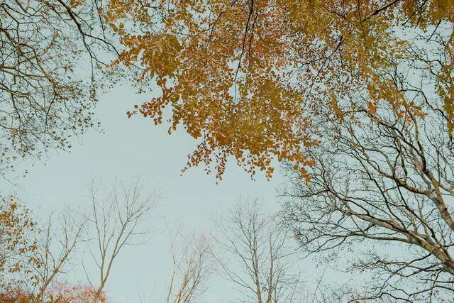 写真 (2枚目) - 11/25（月）～12/1 - LOCARI（ロカリ）