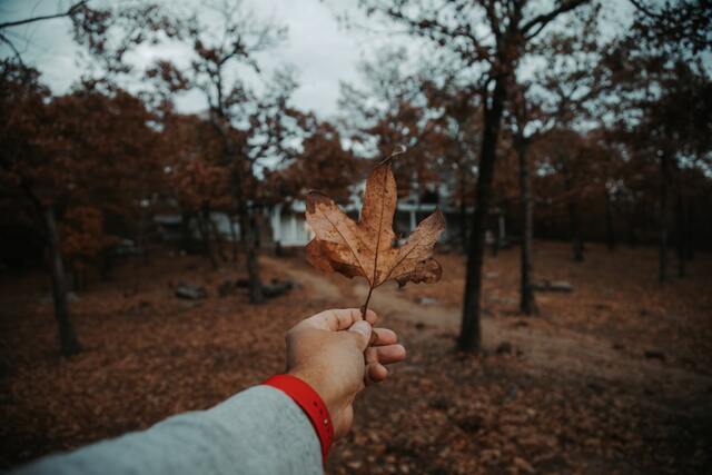 写真 (3枚目) - 11/25（月）～12/1 - LOCARI（ロカリ）