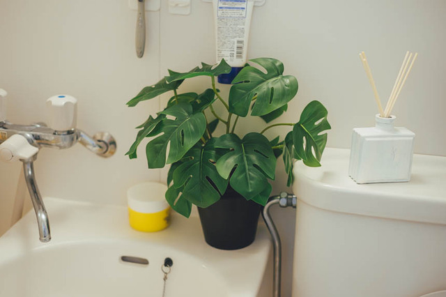 写真 (18枚目) - 16㎡のワンルーム。コンパクトだけど退屈しない、一人暮らしのインテリア - LOCARI（ロカリ）