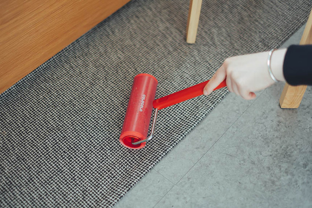 写真 (16枚目) - 収納はアイテムとアイデアでつくる。1K・26㎡の一人暮らしインテリア [私らしく暮らす] - LOCARI（ロカリ）