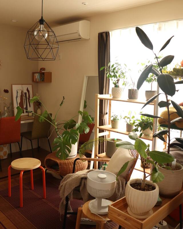 写真 (15枚目) - 「見せる収納」でたくさんものがあっても整うリビング。三人暮らしの2LDKインテリア - LOCARI（ロカリ）