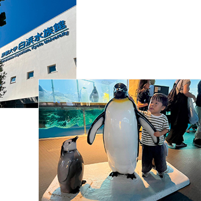 写真 (6枚目) - パンダに会いに和歌山県へ！ママも満たされる温泉宿「くろしお想」が最高 - LOCARI（ロカリ）