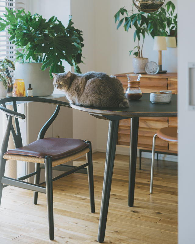 写真 (10枚目) - - LOCARI（ロカリ）