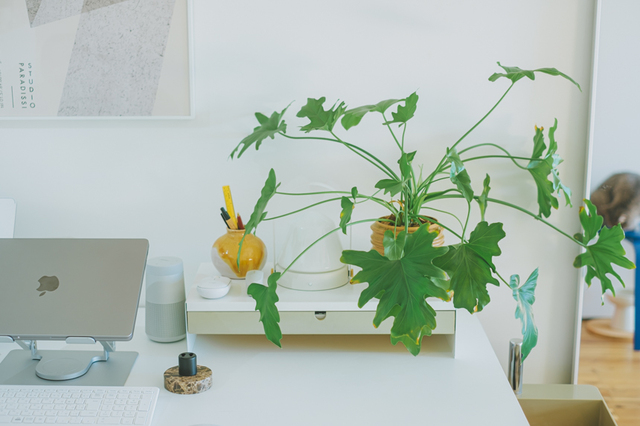 写真 (17枚目) - - LOCARI（ロカリ）