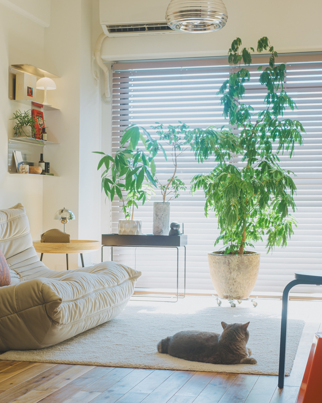 写真 (29枚目) - - LOCARI（ロカリ）