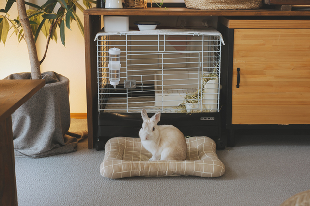 写真 (11枚目) - 1LDで快適にリモートワーク。ワークスペースのあるインテリア3選 - LOCARI（ロカリ）