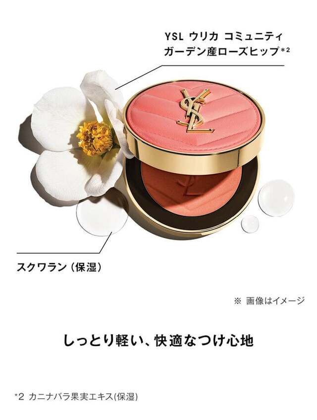 写真 (7枚目) - 【YSL】これは沼る！売り切れ続出の新チーク「メイクミーブラッシュ - LOCARI（ロカリ）