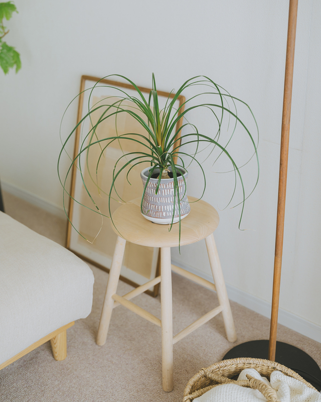 写真 (16枚目) - 二人暮らし×2LDK。お手本にしたい「シンプルインテリア」 [私らしく暮らす] - LOCARI（ロカリ）