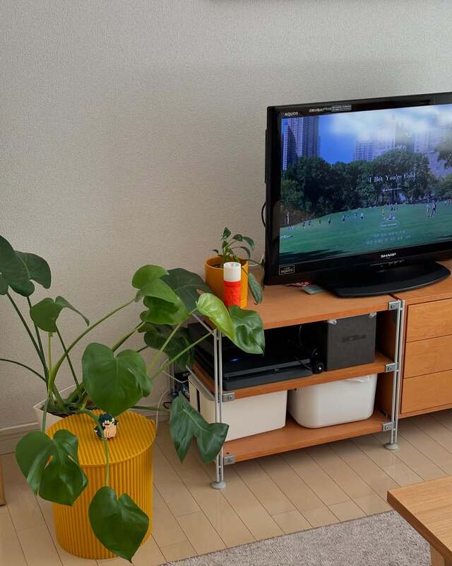 写真 (7枚目) - シンプルすぎず、居心地の良い7畳。一人暮らしの1Kインテリア [私らしく暮らす] - LOCARI（ロカリ）