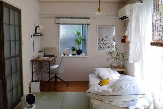 和モダンな部屋になじむ。一人暮らしの1DKに好きをつめこんで暮らす私が買ってよかった3つのアイテム - LOCARI（ロカリ）