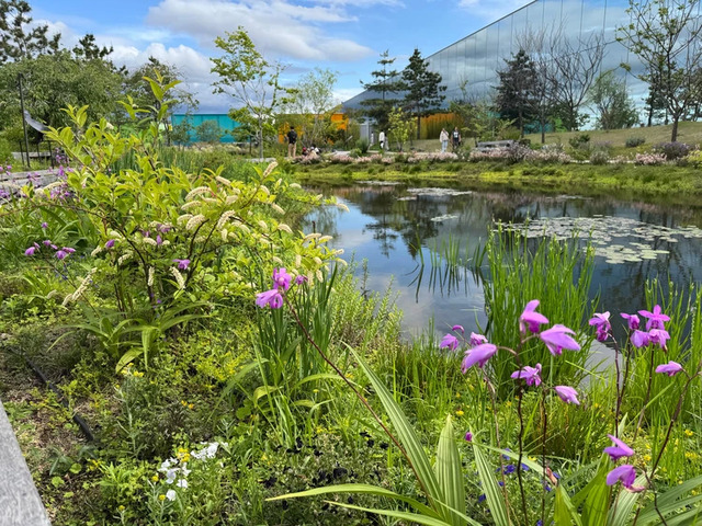 写真 (5枚目) - [広島]世界で最も美しい&水に浮かぶ美術館「下瀬美術館」でアート体験レポ - LOCARI（ロカリ）