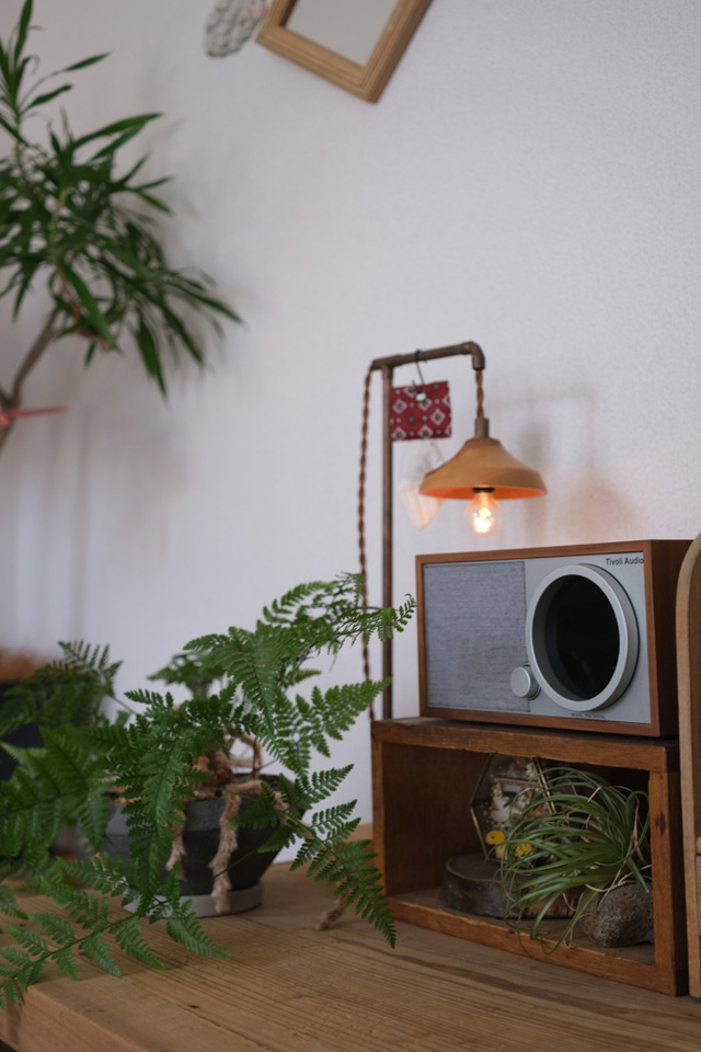 写真 (4枚目) - 水槽と緑、古道具。まるで自然の中にいるみたいな暮らしで買って良かった3つのアイテム - LOCARI（ロカリ）