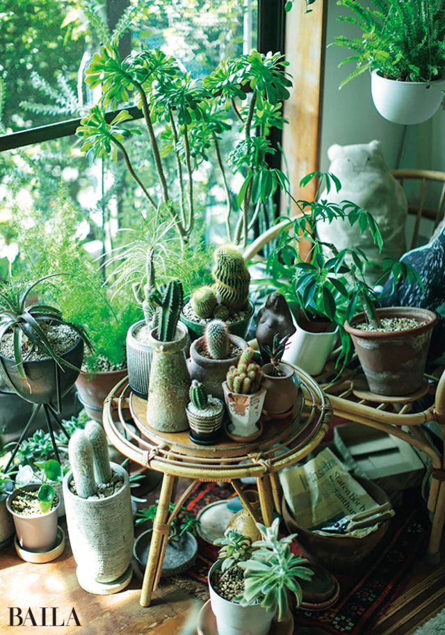 写真 (2枚目) - - LOCARI（ロカリ）