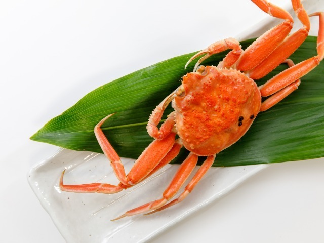 写真 (11枚目) - [関西版]USJで年越しも！2018-2019年カウントダウンイベント特集 - LOCARI（ロカリ）