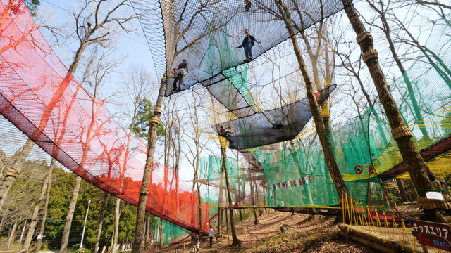 写真 (3枚目) - 2018年最も読まれた記事は？ルトロン人気記事ランキングTOP10 - LOCARI（ロカリ）