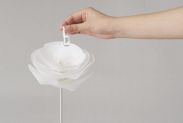 写真 (4枚目) - オシャレすぎ！意外な「アレ」から出来た、お花のアロマディフューザー - LOCARI（ロカリ）