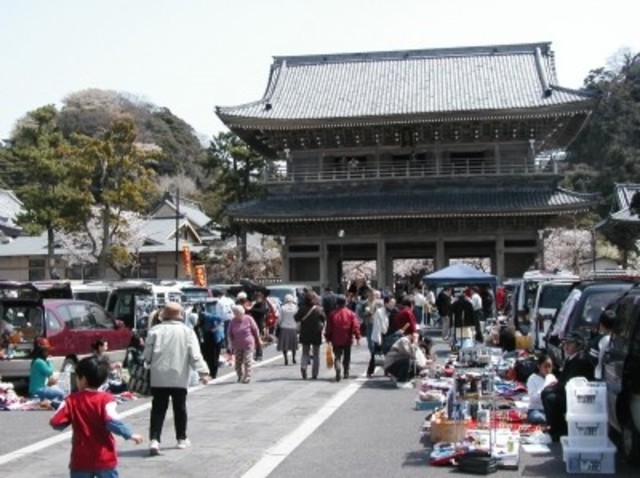 写真 (7枚目) - お花見は鎌倉で！鎌倉のオススメ桜の名所ベスト10[2019年] - LOCARI（ロカリ）