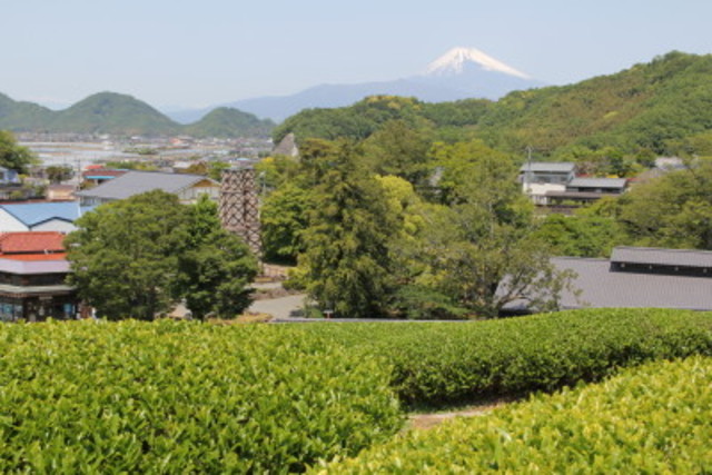 写真 (25枚目) - 新スポット＆穴場スポットも！静岡の富士山ビュースポット8選 - LOCARI（ロカリ） - LOCARI（ロカリ）