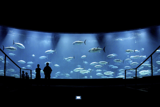 写真 (3枚目) - - LOCARI（ロカリ）