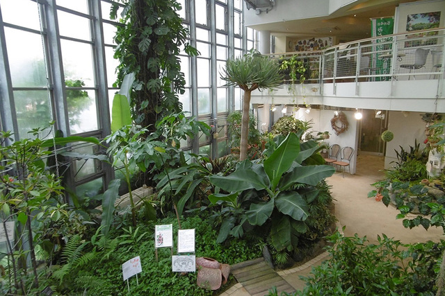 写真 (8枚目) - GWの暇な日どこ行く？一人焼肉や温泉銭湯etc.一人で楽しめる都内のスポット10選 - - LOCARI（ロカリ）