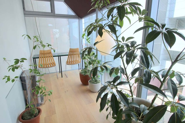 写真 (22枚目) - - LOCARI（ロカリ）