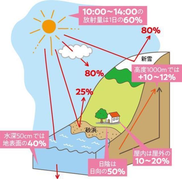 写真 (16枚目) - テストする女性誌『LDK the - LOCARI（ロカリ）