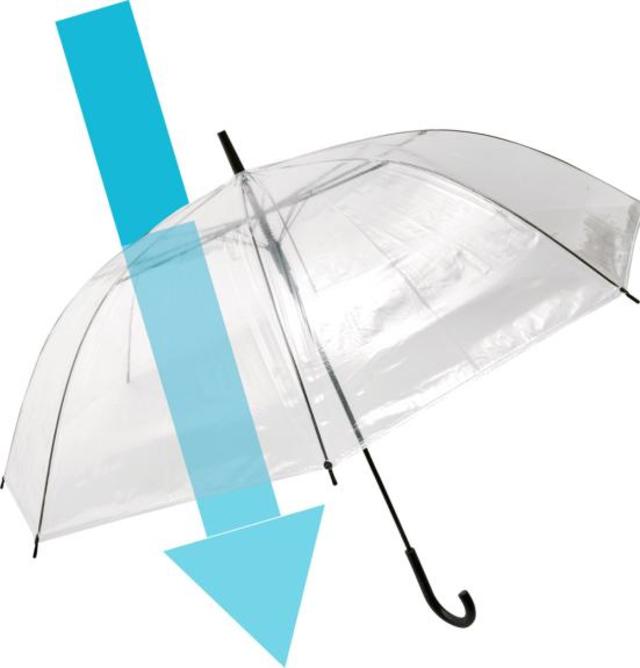 写真 (19枚目) - テストする女性誌『LDK the - LOCARI（ロカリ）